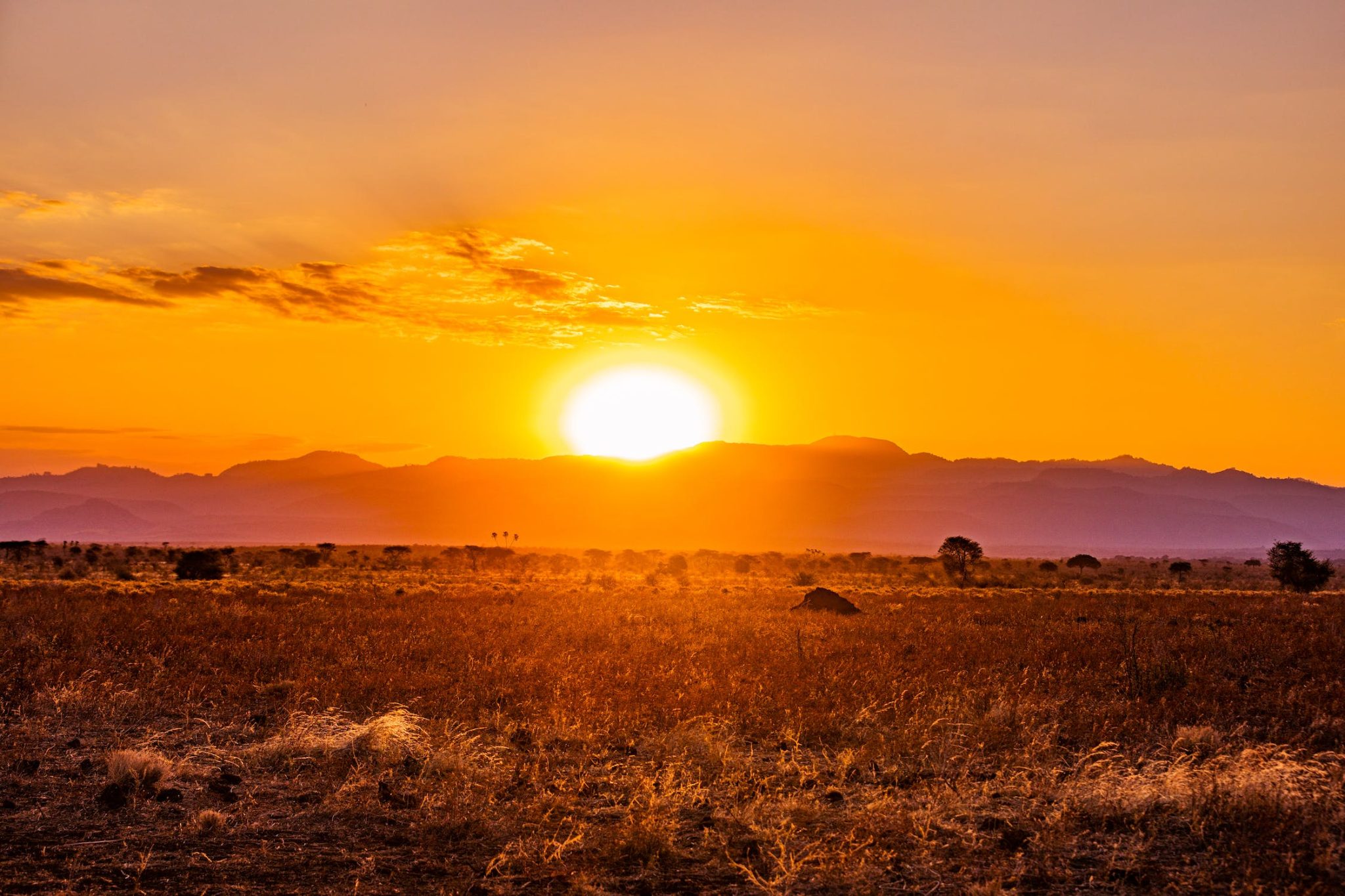 Roseanne said she looked up “Operation Trust” after I talked about it on her show - Тракийски Свят